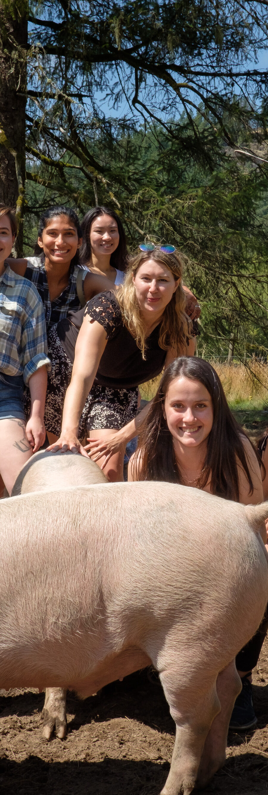 lab-photo-pig - The Snyder Lab